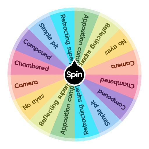 Animal eyes | Spin the Wheel - Random Picker