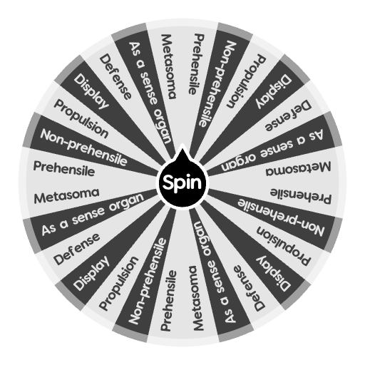 Animal tails use | Spin the Wheel - Random Picker