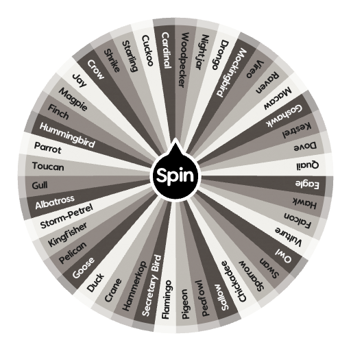 Birds | Spin the Wheel - Random Picker