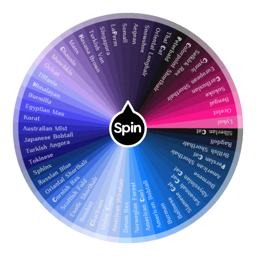 Cat Breed Wheel | Spin the Wheel - Random Picker