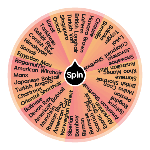 Cat Breeds | Spin the Wheel - Random Picker