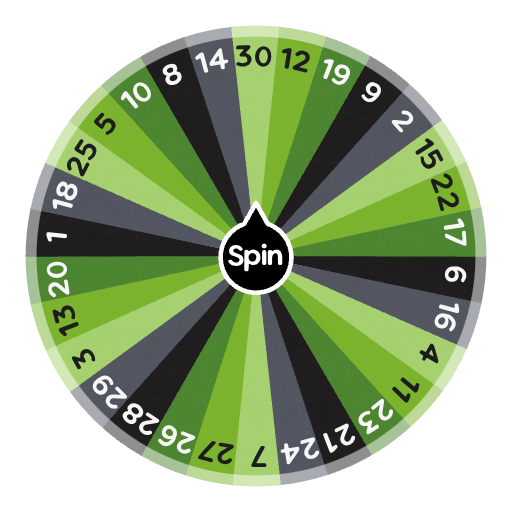 D30 | Spin the Wheel - Random Picker