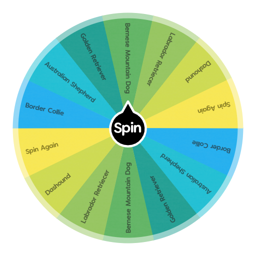 🐶Dog Bread Decision | Spin the Wheel - Random Picker