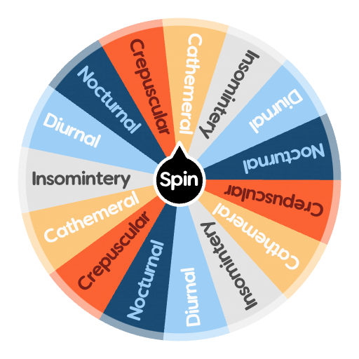 Dragon Cycles | Spin the Wheel - Random Picker