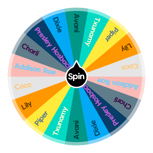 Fav Tiktoker | Spin the Wheel - Random Picker
