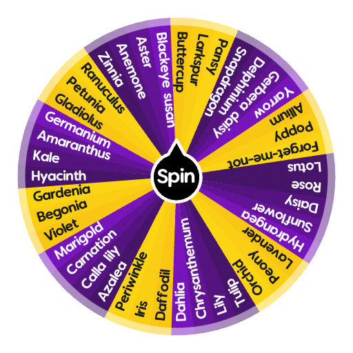 Flowers 🌸🌺🌻🌹🌷🌼💐 | Spin the Wheel - Random Picker