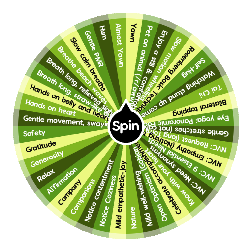 Happiness Practices | Spin The Wheel - Random Picker