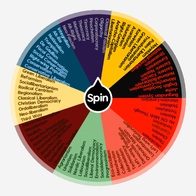 Wheel Of Names Pokemon Starters