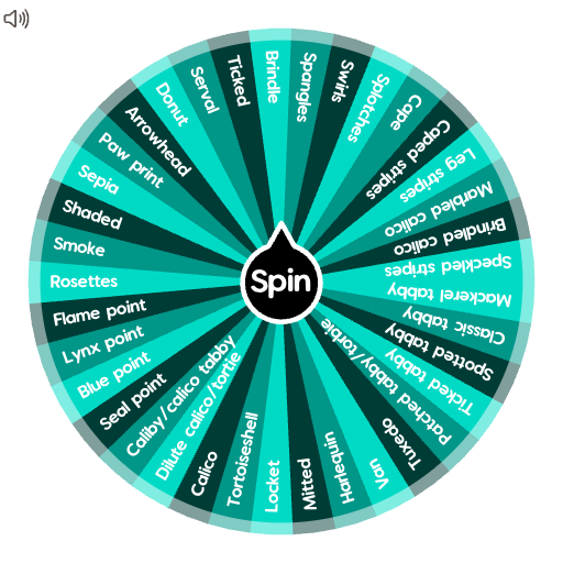 Markings for drawing cats! | Spin the Wheel - Random Picker