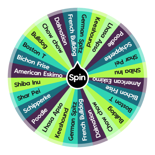 Non Sporting dogs | Spin The Wheel - Random Picker