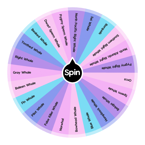 Type of Whale | Spin the Wheel - Random Picker