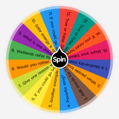Random Get To Know You Questions | Spin the Wheel - Random Picker