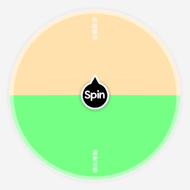Game Types | Spin the Wheel - Random Picker