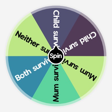 Birth Chances | Spin the Wheel - Random Picker