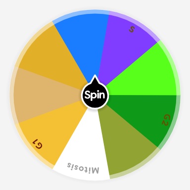 Cell cycle | Spin the Wheel - Random Picker