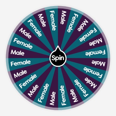 🍼Gender Picker🍼 | Spin the Wheel - Random Picker