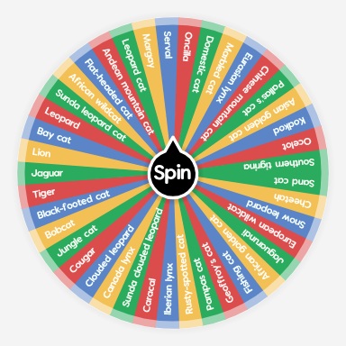 Wheel of Fortune | Spin The Wheel - Random Picker