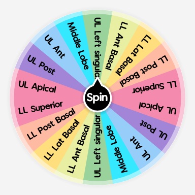 Postural Drainage Position | Spin the Wheel - Random Picker