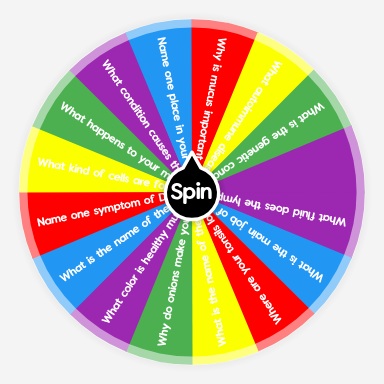 Quiz Wheel For Quiz Shows | Spin the Wheel - Random Picker