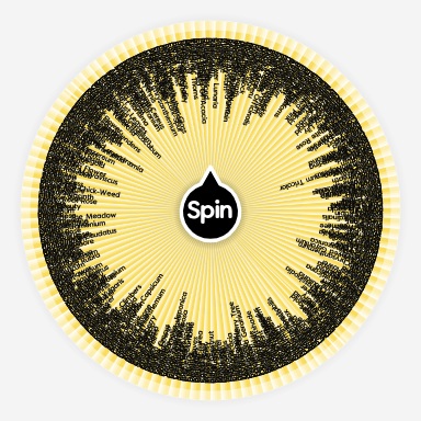 💐 Flowers 💐 | Spin The Wheel - Random Picker
