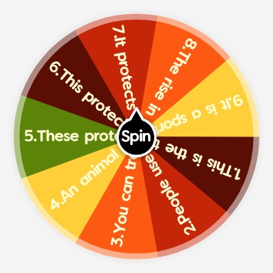 What to gift for a Christmas present? | Spin The Wheel - Random Picker