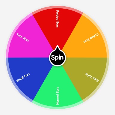 Wheel of WCUE: Ear Types | Spin the Wheel - Random Picker