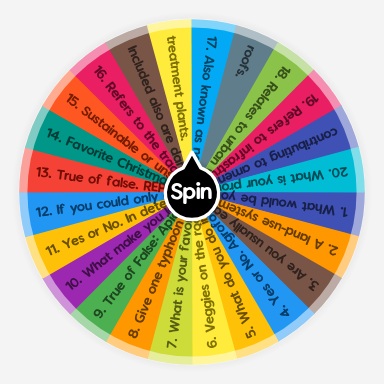 Random Get To Know You Questions | Spin the Wheel - Random Picker
