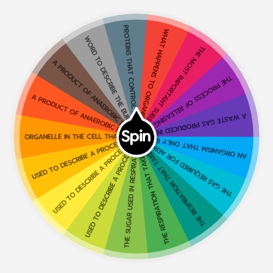 The Random Word Wheel | Spin the Wheel - Random Picker
