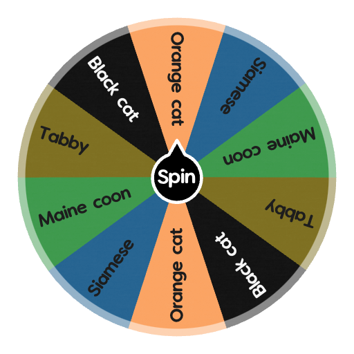 What cat are you? | Spin the Wheel - Random Picker