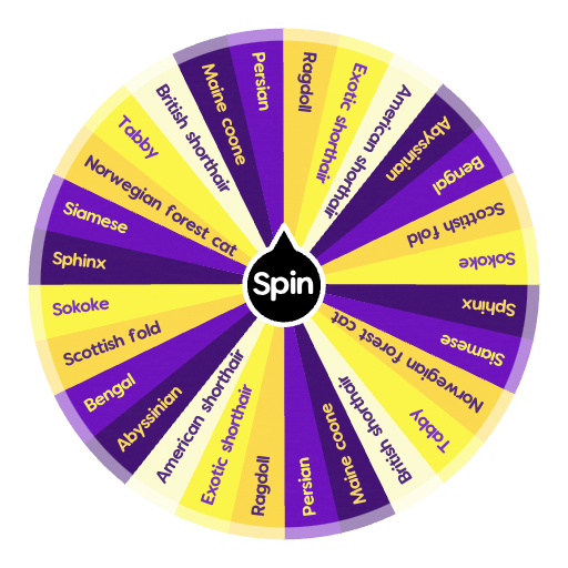 What cat are you? (Sorry I don't know every cat breed) | Spin the Wheel ...
