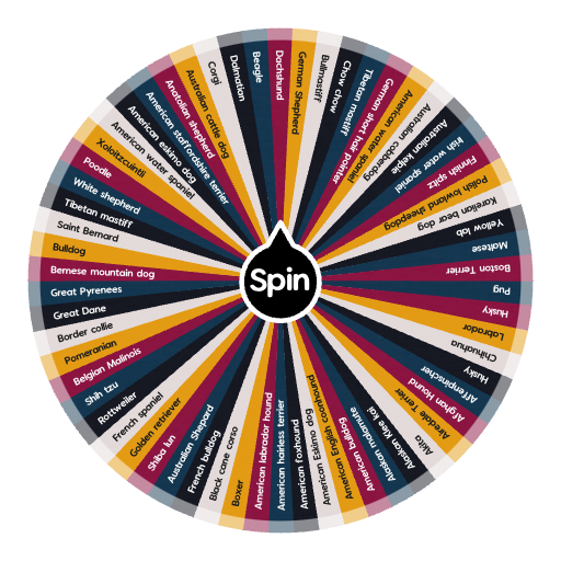 What dog breed are you🐶🐕🦮 | Spin the Wheel - Random Picker
