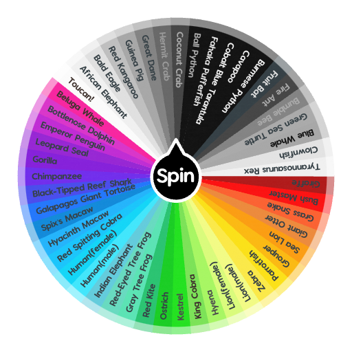 Wheel of animals! Can you land on Toucan? | Spin the Wheel - Random Picker